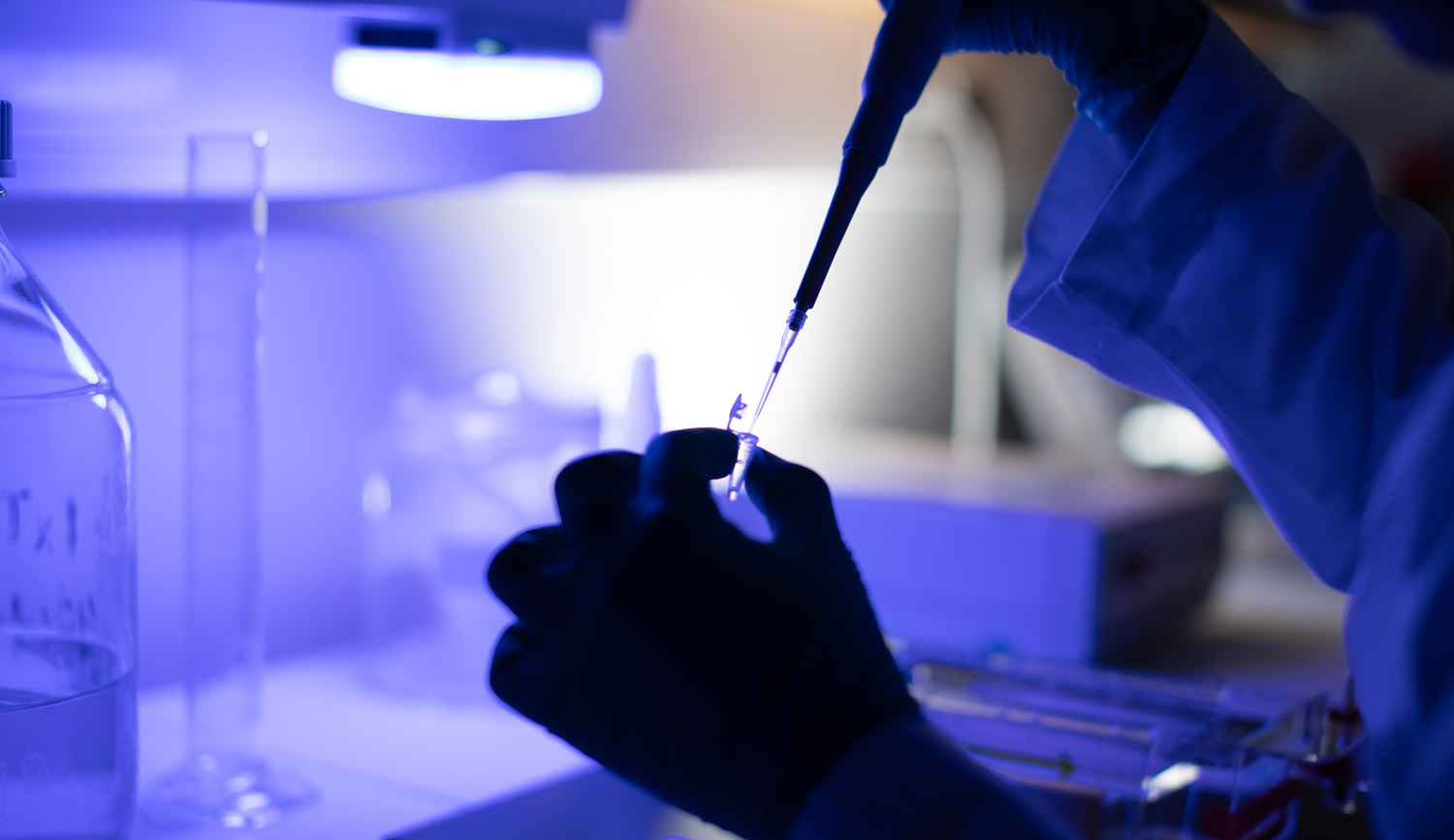 Whole-genome sequencing of presumptive MDR-TB isolates from a tertiary ...